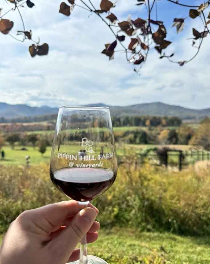 Red wine tastes better when you're holding it against a backdrop this ridiculously pretty.