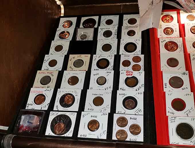 Collectible coins organized with the precision of someone who actually knows what they're doing, bless them.