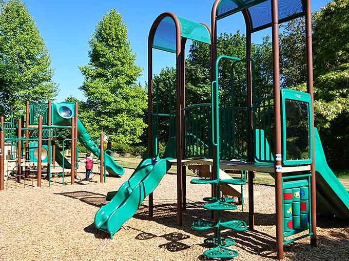 Frank Raab Park's playground equipment suggests someone actually remembered that kids need to burn off bakery-fueled energy.