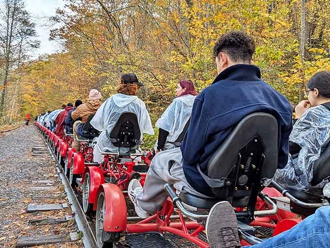 Following the leader through fall colors so vibrant they look Photoshopped, except this is gloriously, beautifully real life unfolding.