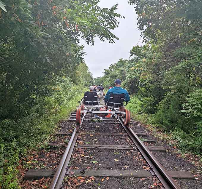 Forest canopy overhead, tracks beneath your wheels, and not a traffic jam in sight anywhere.