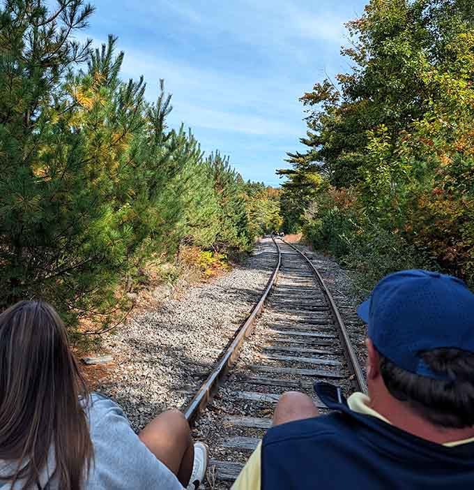 Early autumn hints peek through the canopy as the tracks curve gently through wilderness that time forgot.