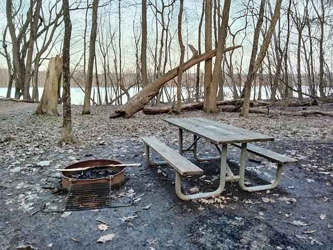 This picnic table has seen more peaceful lunches than your office break room will witness in a lifetime.