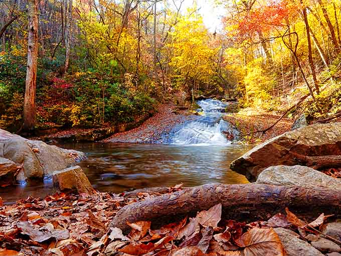 Autumn transforms the cascades into a painter's palette, with water rushing through nature's own color explosion.
