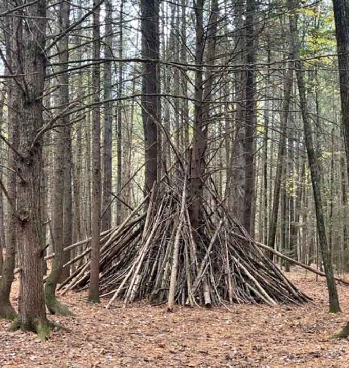 Someone built a stick teepee in the woods, and honestly, that's the kind of wholesome creativity we need.