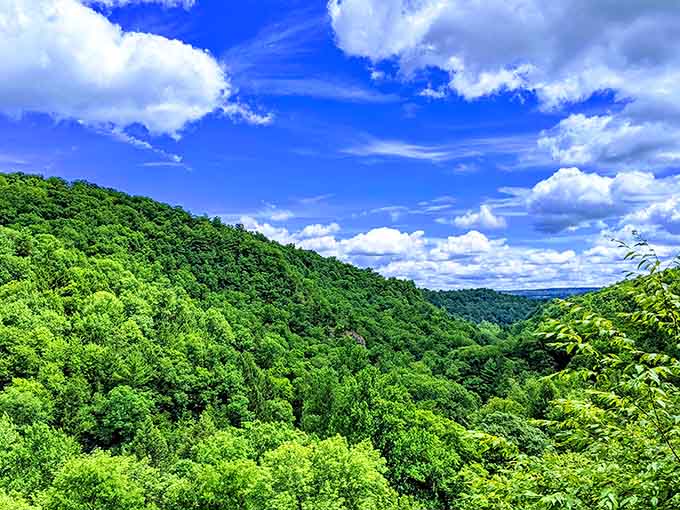 Rolling green hills stretch endlessly, reminding you that upstate New York has serious scenic credentials.