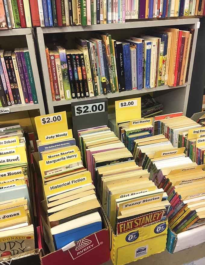 Books organized by category, waiting to be rediscovered by readers who still appreciate the smell of real pages.