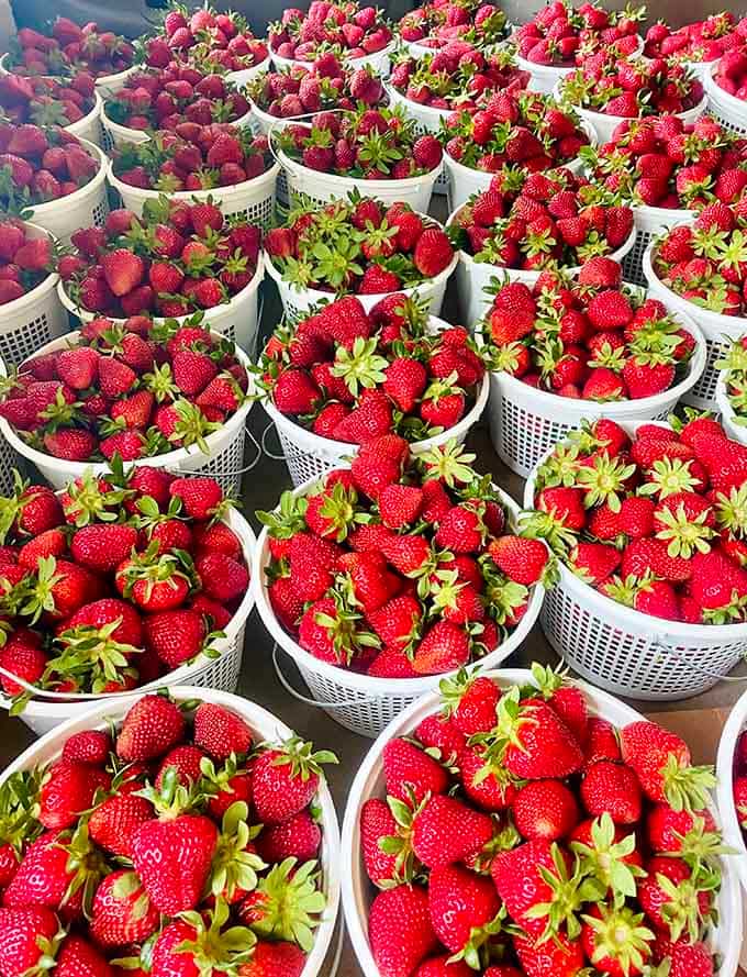 This abundance of berries looks like a Norman Rockwell painting came to life in the best possible way.