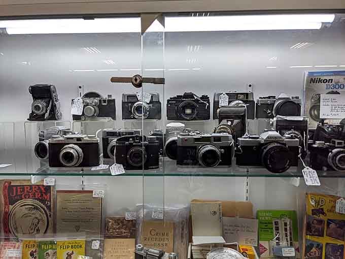 Vintage cameras lined up like mechanical soldiers from photography's golden age before smartphones existed.