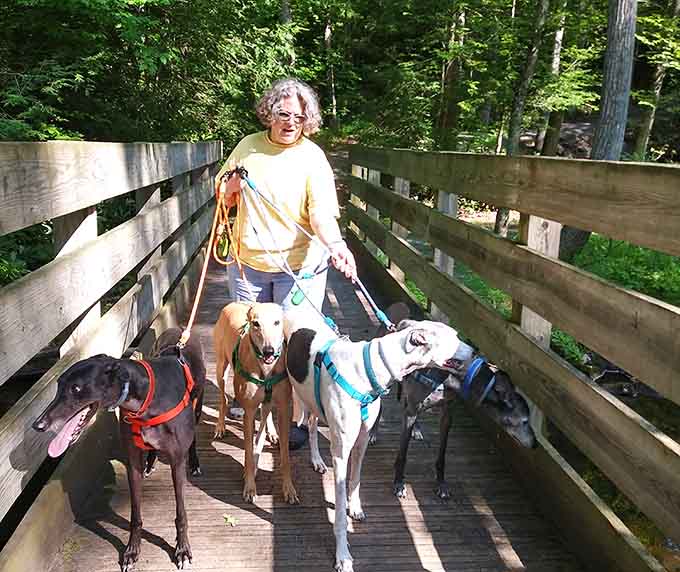 Four-legged friends are welcome to explore this pocket paradise, making it a true family destination.