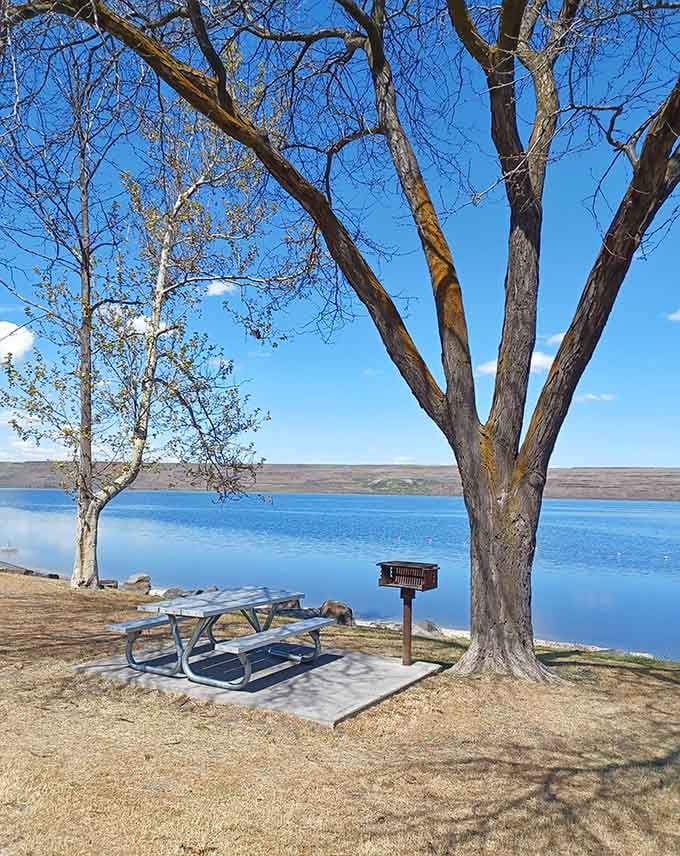 A picnic table under bare branches with river views proves that simple pleasures often beat elaborate vacation plans.