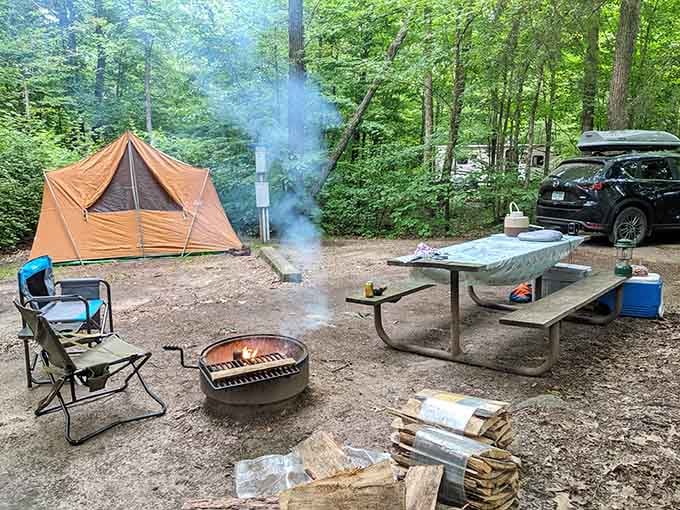 Campsite setup complete with tent, fire ring, and the eternal optimism that mosquitoes might take the night off.