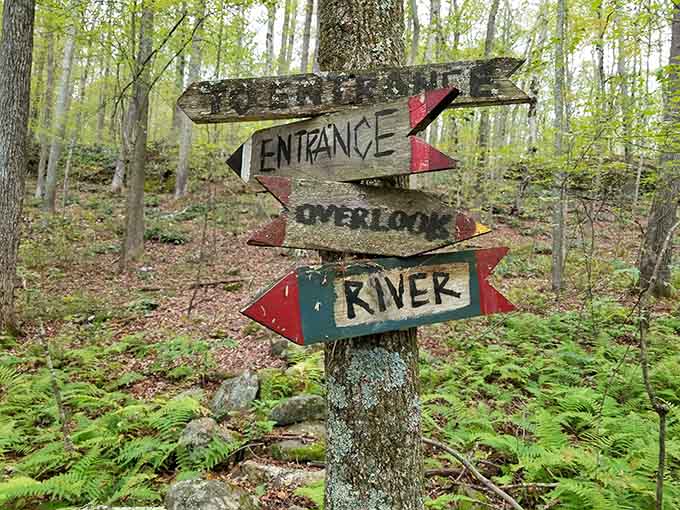 Follow the signs to discover that getting lost in nature is actually the best way to find yourself.