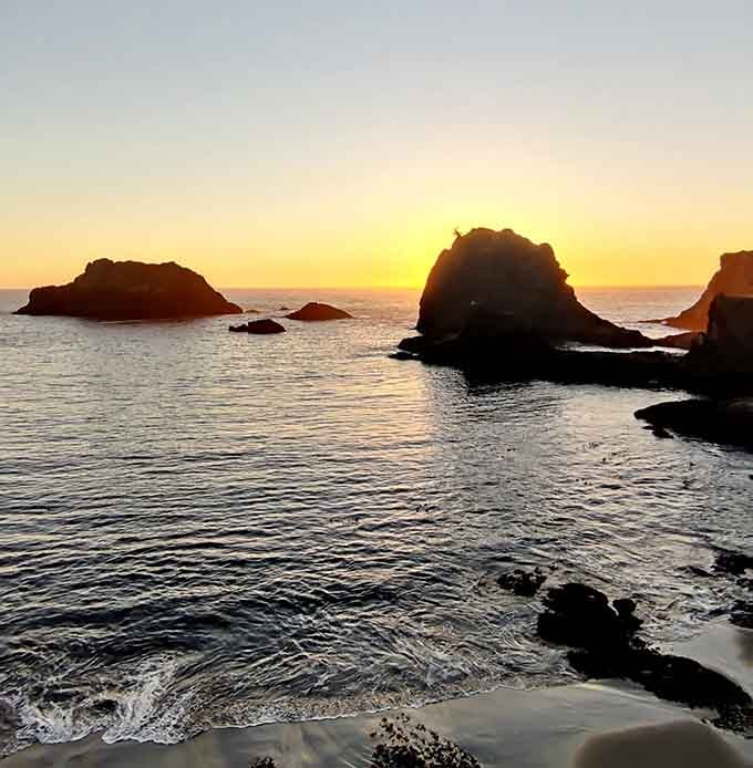 Sunset silhouettes the sea stacks perfectly, creating that Instagram moment you didn't know you needed until now.