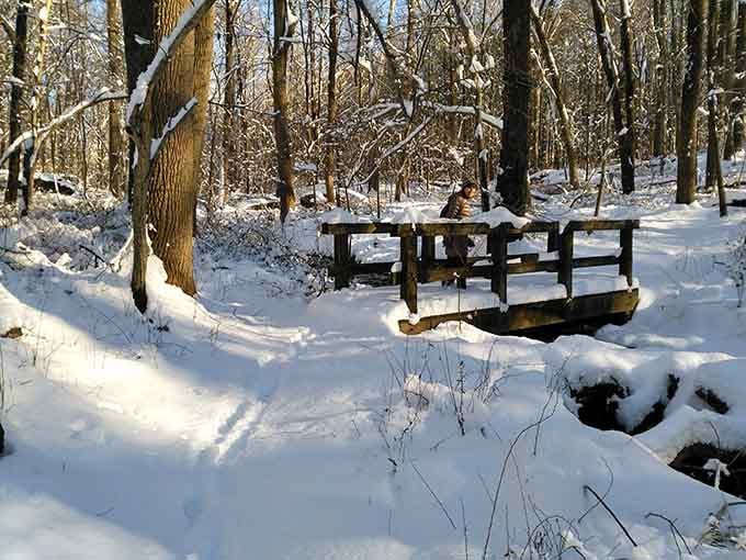 Winter transforms these trails into a peaceful wonderland where footprints tell stories in fresh snow.