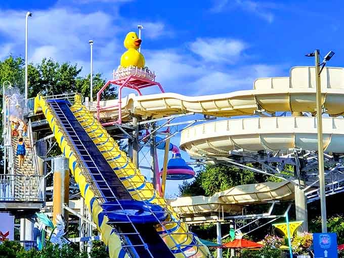 Rubber ducky, you're the one who makes water slides so much fun, bath time's a joke.