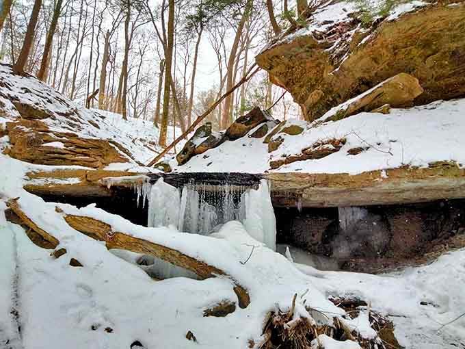 Winter transforms the waterfalls into frozen sculptures that would make Elsa jealous, proving nature's an artist year-round.
