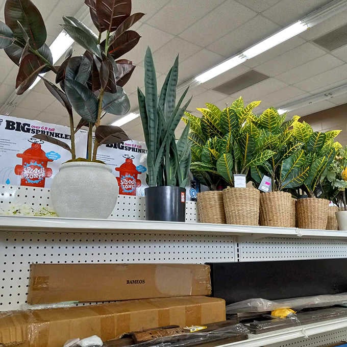 Houseplants in modern planters bring life to any corner, no green thumb or trust fund required.