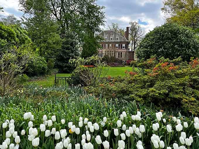 Historic mansion backdrop included free with your tulip admission, because Baltimore knows how to set a scene.