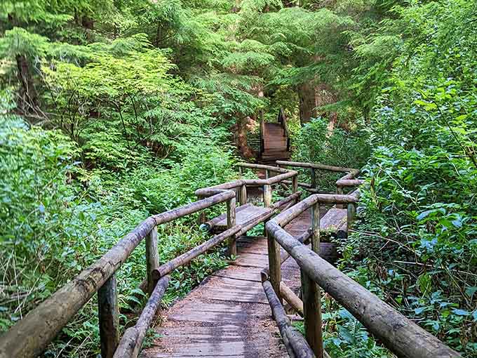Even the trail to Shi Shi Beach offers its own brand of enchantment through lush coastal forest.