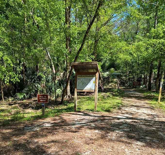 Trail maps are your best friend here, like having a knowledgeable local guide without the awkward small talk.