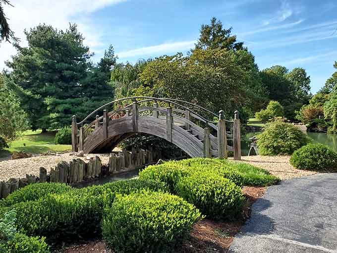 Mizumoto Japanese Stroll Garden's graceful wooden bridge is the kind of peaceful spot your soul didn't know it needed.