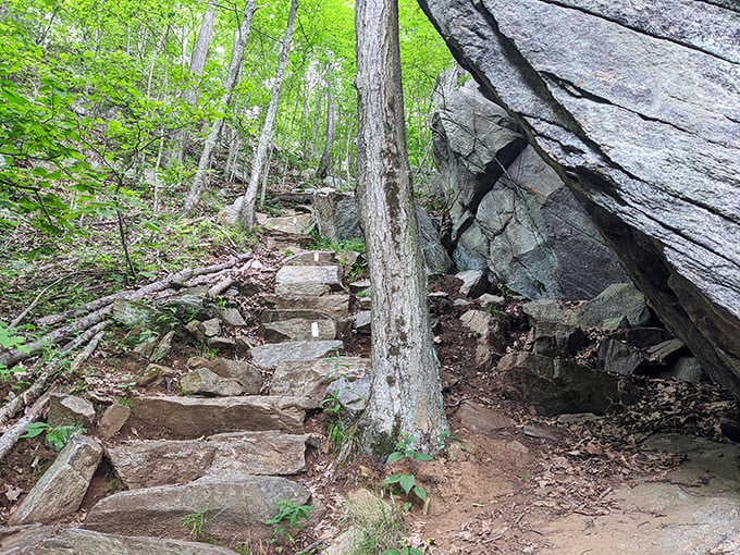 Stone steps carved by time and footsteps, leading you upward toward views worth every single one.