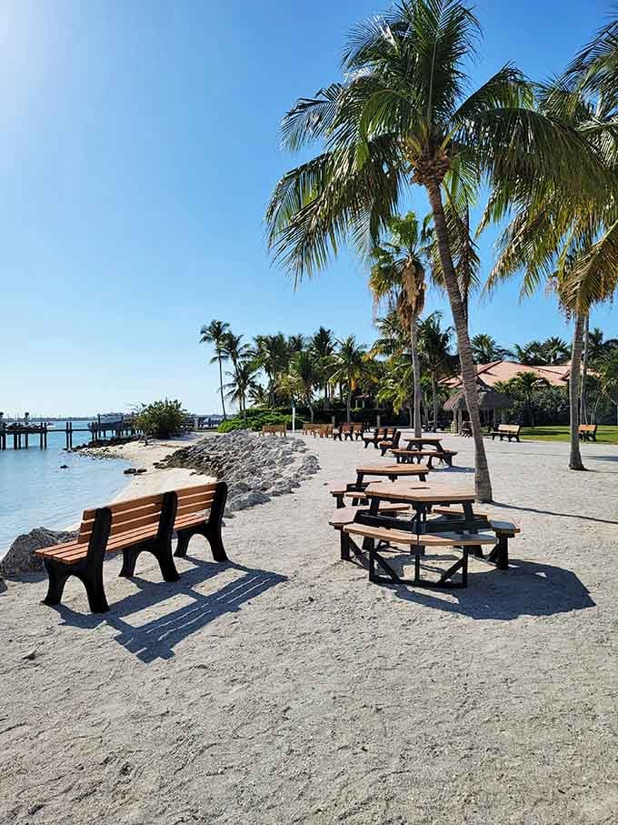 Picnic tables with million-dollar views&mdash;finally, outdoor dining that doesn't require a reservation or a second mortgage.