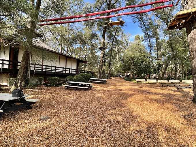 Picnic tables under the trees with ziplines overhead, because lunch should always include aerial entertainment.