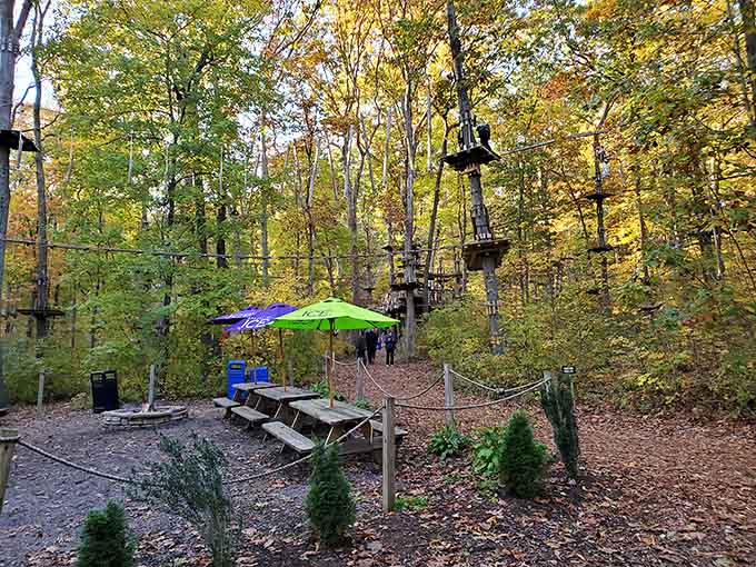 The picnic area where you'll collapse after realizing your fitness tracker has been lying to you all year.