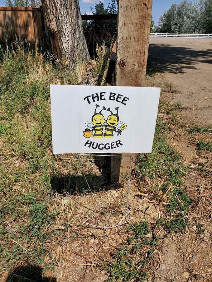The cheerful signage welcomes you to this pollinator paradise where bees get the appreciation they truly deserve for once.