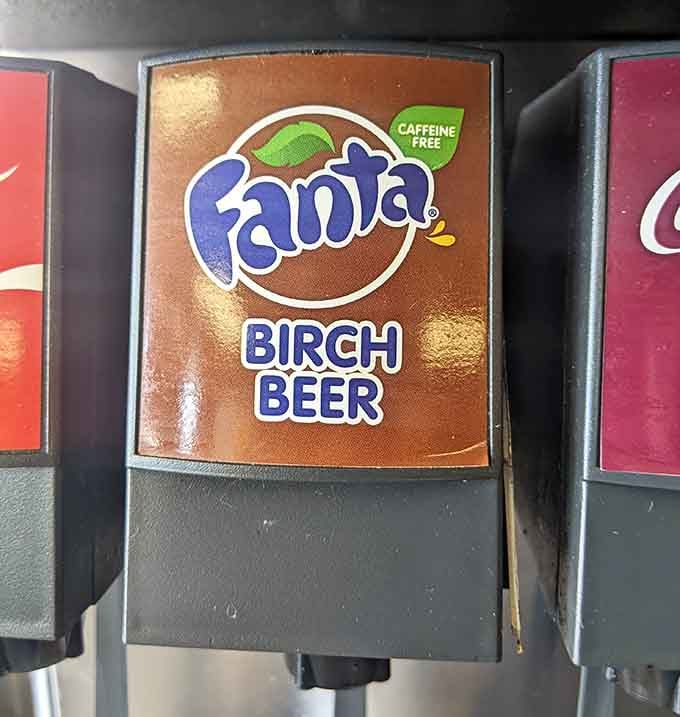 Birch beer on tap means someone here understands that nostalgia tastes better when it's ice cold.