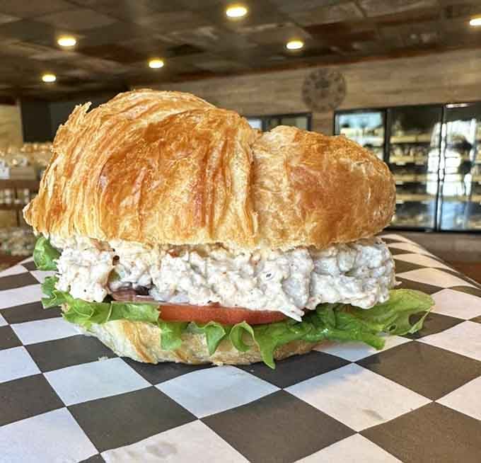 Chicken salad piled high on a buttery croissant proves that simple ingredients create extraordinary lunch experiences daily.