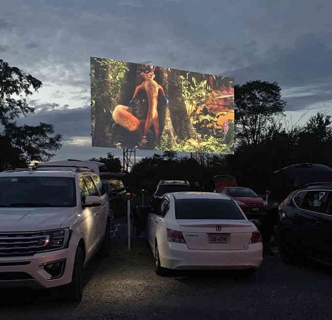 When the movie starts and that giant screen comes alive, suddenly you're eight years old again.