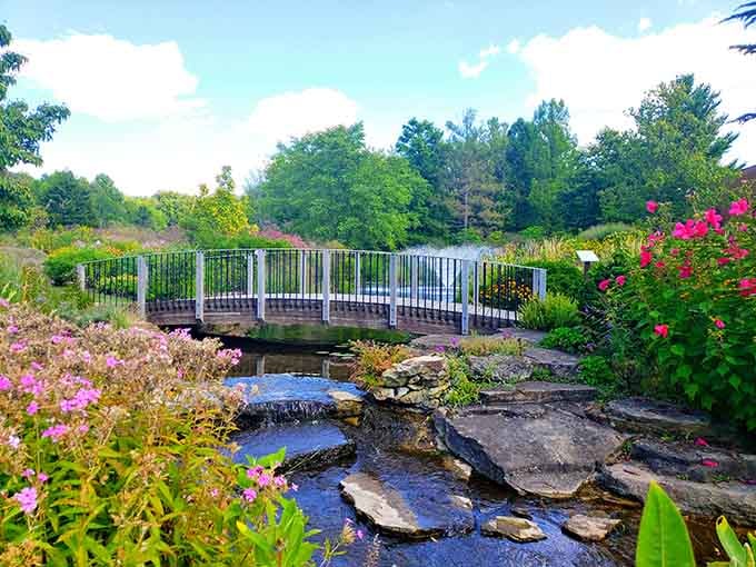 Peaceful garden bridges where koi probably judge your footwear choices as you cross above them.