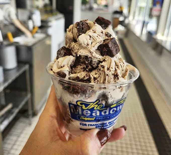 Brownies and cookies meet their creamy destiny in this cup of pure, unapologetic indulgence and joy.