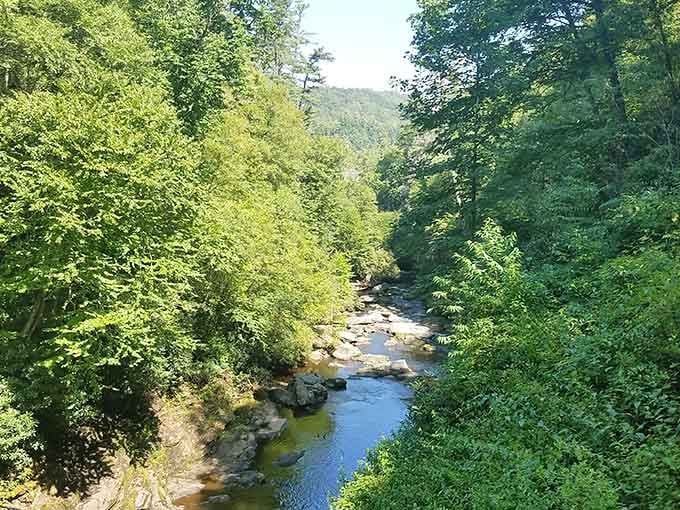 Mountain streams that look this peaceful are hiding their ice-cold secret until you dip a toe in.