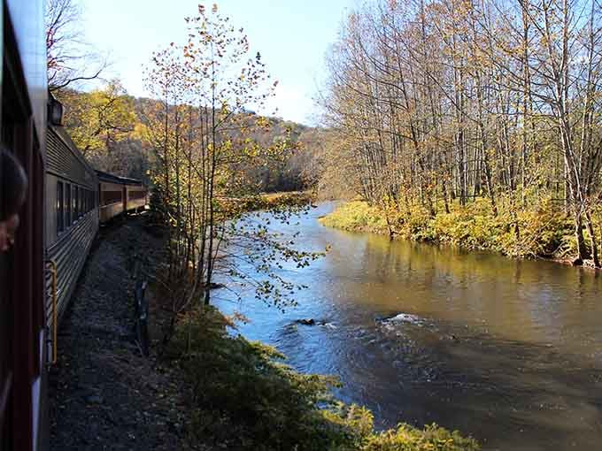 The Lackawaxen River has been the train's faithful companion for generations, providing endless photo opportunities and peaceful views that never get old.