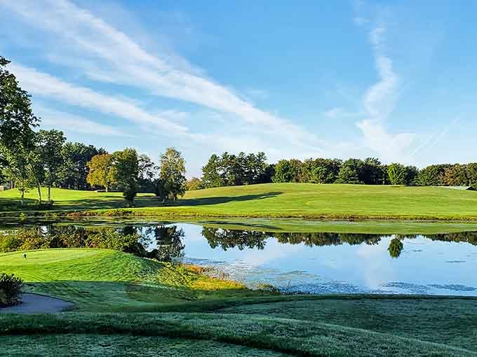 Morning mist rising off manicured greens creates the kind of golf course view that makes three-putting almost forgivable.