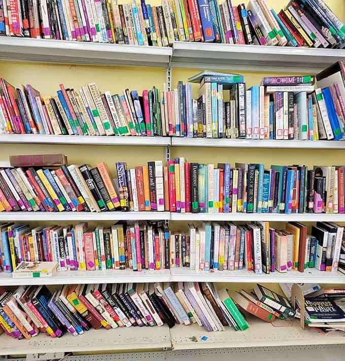 Shelves packed with stories waiting for new readers, from bestsellers to hidden literary gems you've never heard of.