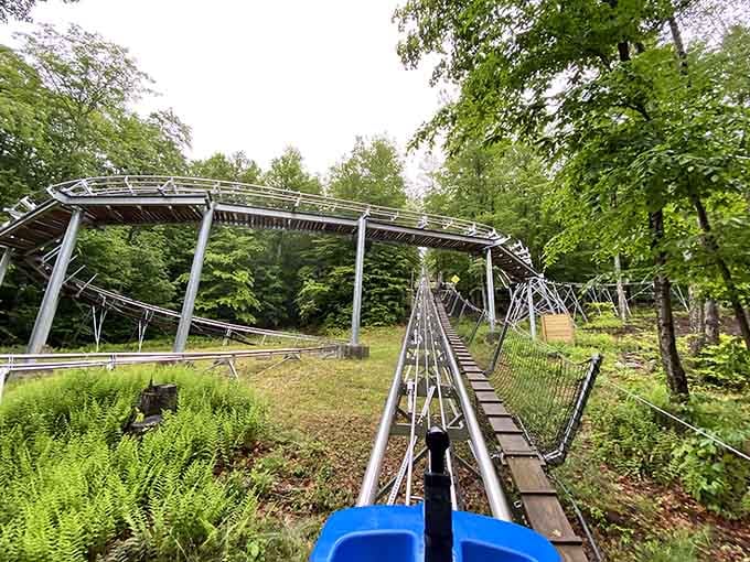 The track weaves through nature like it was always meant to be there, just faster.