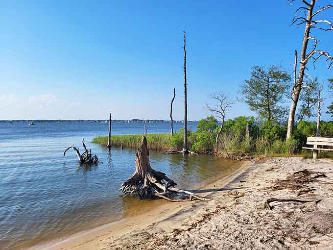 Cattus Island's shoreline reminds you why people pay premium prices for waterfront property you visit free.
