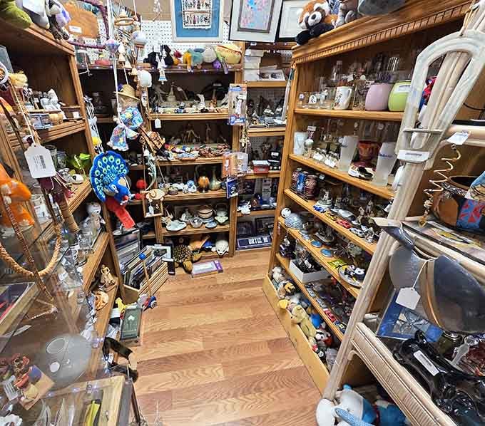 Wooden shelves packed with treasures create a visual feast that would make any collector's heart skip beats.