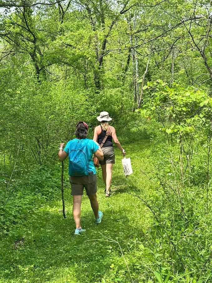 The property's hiking trails let you explore on foot, proving adventure doesn't always require leaving the ground permanently.
