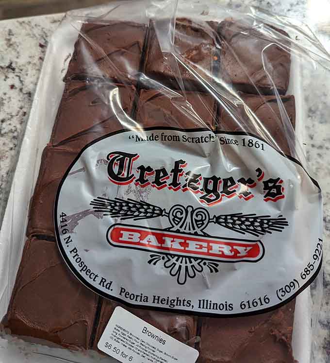 Fudgy brownies that understand the assignment: be rich, be chocolatey, be absolutely irresistible to anyone with functioning taste buds.