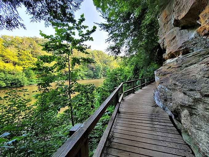 The boardwalk hugs the cliff face above Sugar Creek, offering front-row seats to geological history in motion.