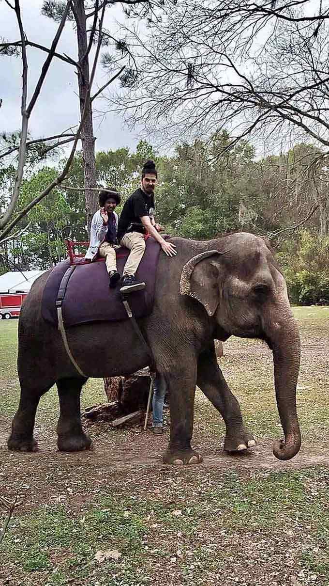 Yes, you can actually ride an elephant here, fulfilling a bucket list dream you probably didn't know you had.