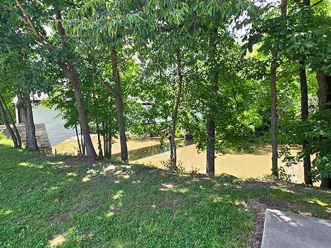 Trees frame the bridge like nature's own art gallery, proving Missouri knows how to put on a show.