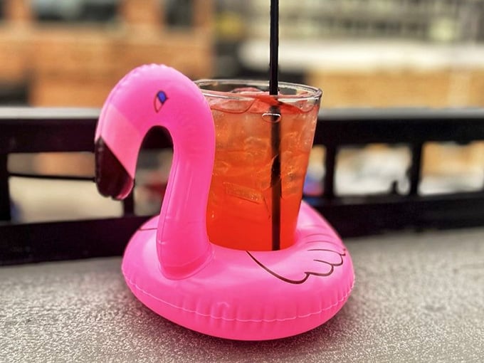 That pink flamingo drink float suggests someone here has a sense of humor about their beverage presentation game.