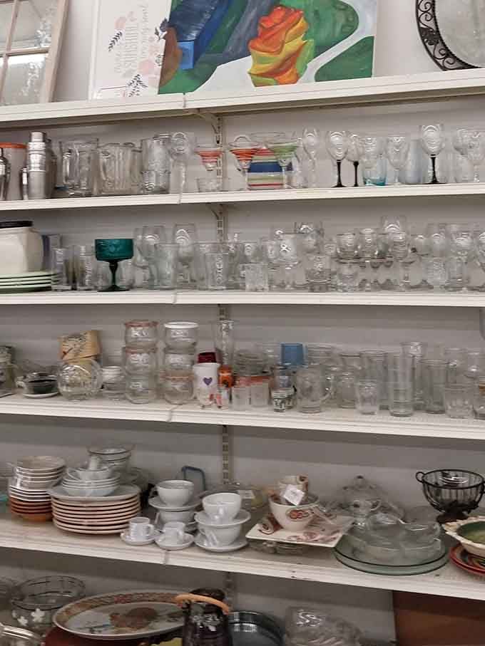 Glassware gleaming like crystal treasures waiting to elevate your next toast or morning orange juice ritual significantly.